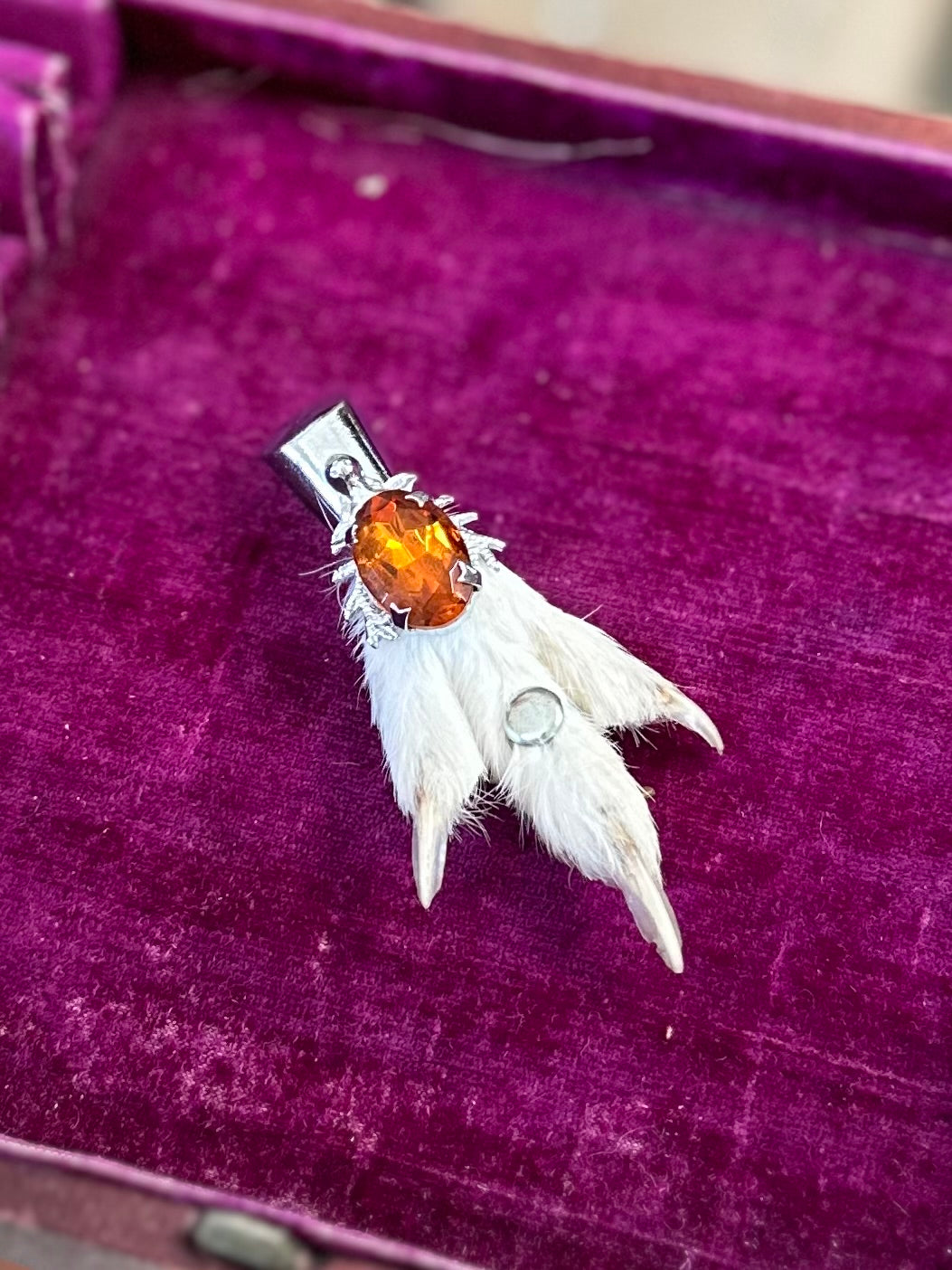 Vintage Grouse Foot Claw Brooch 1960s Signed WBs Ward Brothers Taxider ...